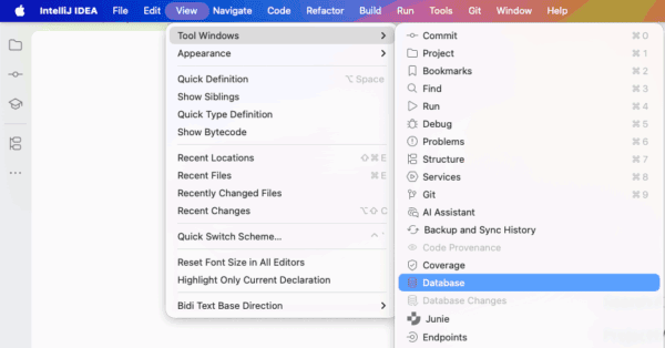 Connect to Database Through Intellij Data Sources and Drivers | Baeldung
