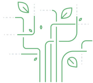 REST with Spring Course | Baeldung Courses