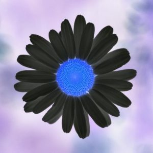 Manipulating Images With ImageMagick Command-Line Tools | Baeldung on Linux