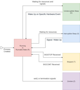 Linux Process States | Baeldung on Linux