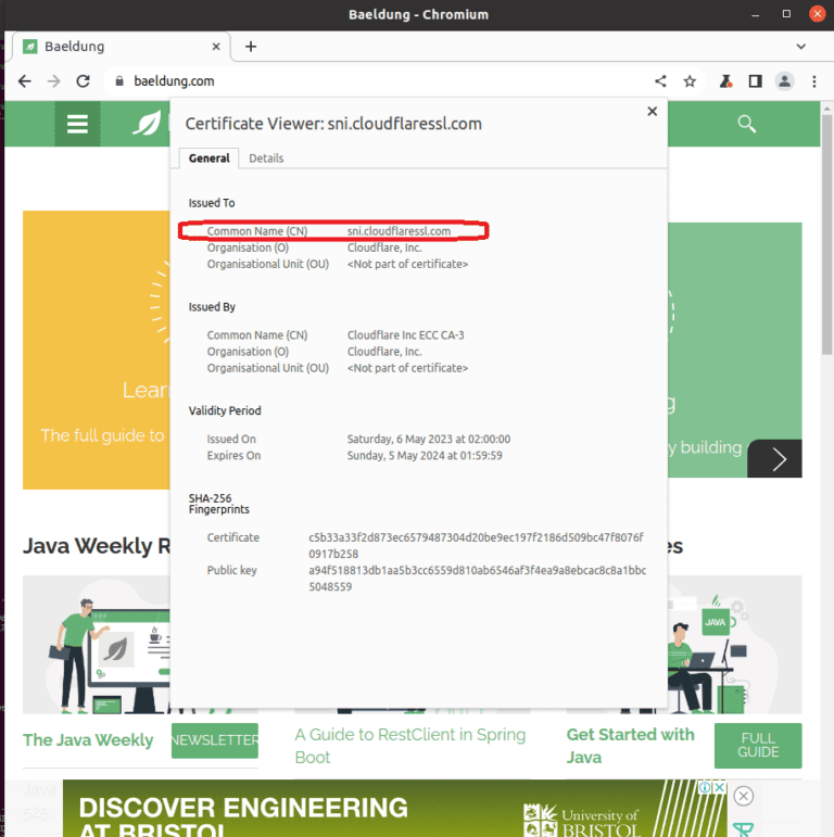 Common Name And Subject Alternative Names In A X 509 Certificate Baeldung On Linux