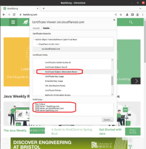 Common Name and Subject Alternative Names in a X.509 Certificate | Baeldung on Linux