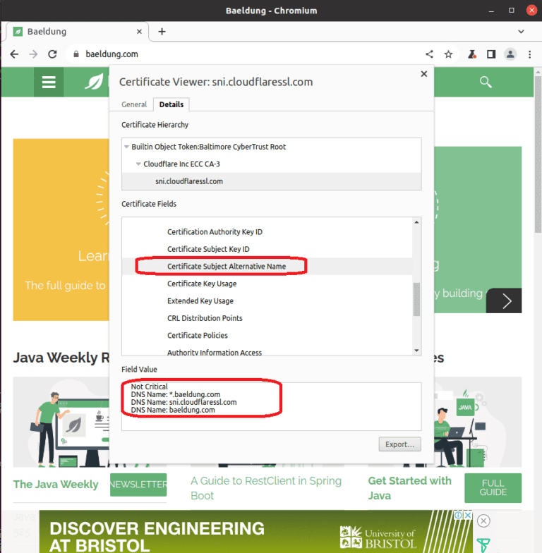 Common Name and Subject Alternative Names in a X.509 Certificate | Baeldung on Linux