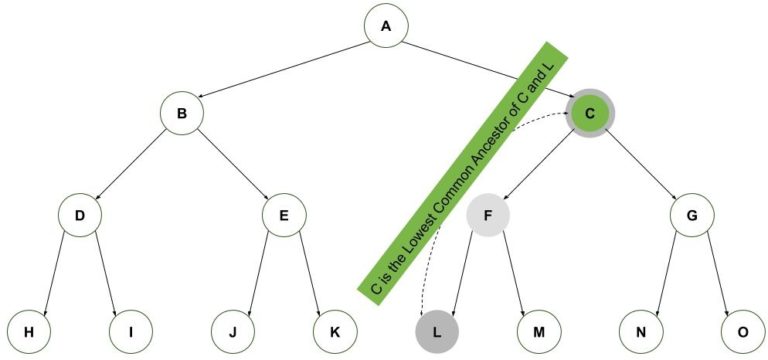 Finding the Lowest Common Ancestor of Two Nodes in a Binary Tree ...