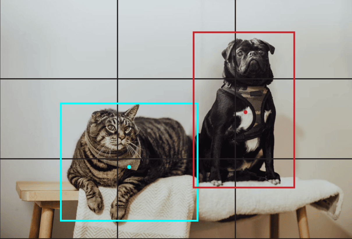 What Is YOLO Algorithm Baeldung On Computer Science