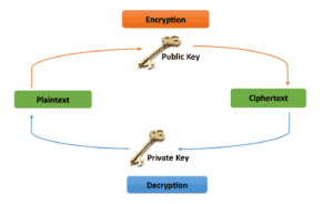 RSA Public Key Format | Baeldung on Computer Science