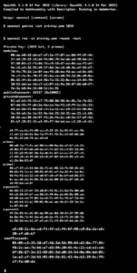 RSA Public Key Format | Baeldung on Computer Science
