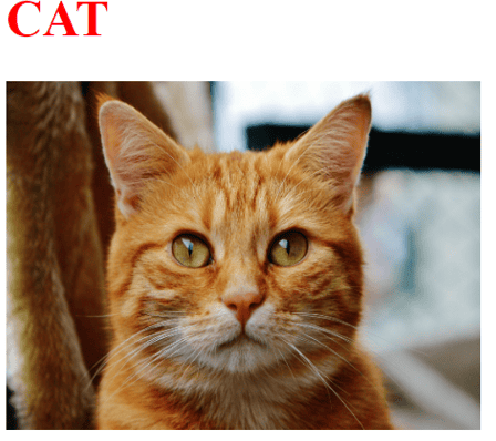 What Are Markup Languages and How Do They Work? | Baeldung on Computer Science