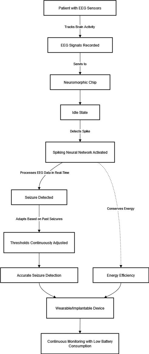 Neuromorphic Computing Explained | Baeldung on Computer Science