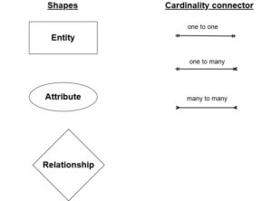 What Is a Conceptual Data Model and Why Is It Important in SQL Design ...