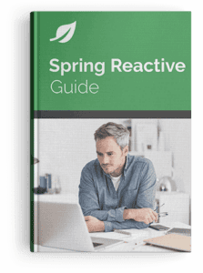 Free eBook: Spring Reactive | Baeldung on Library